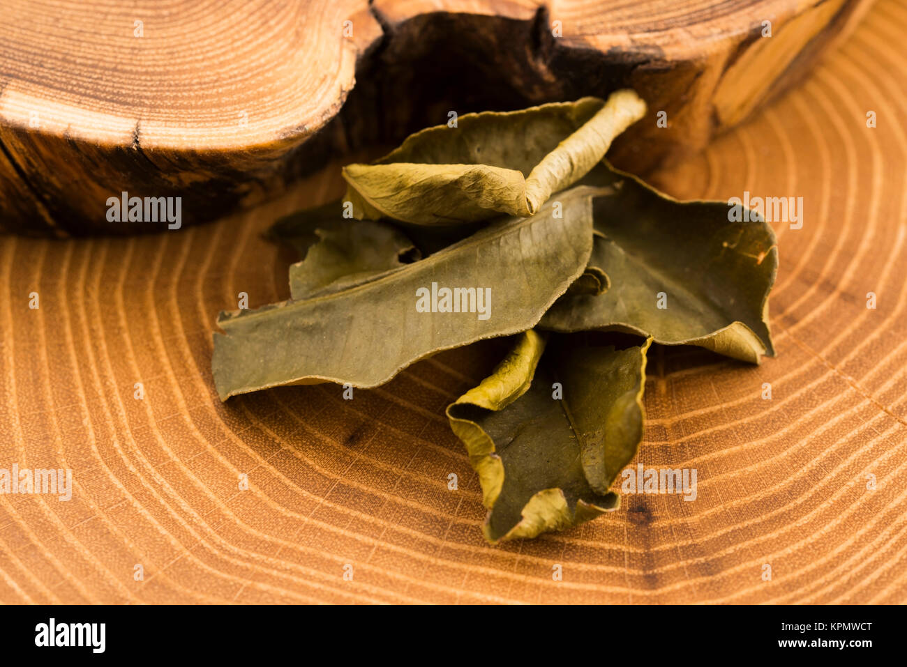 Green cassia leaves hi-res stock photography and images - Alamy