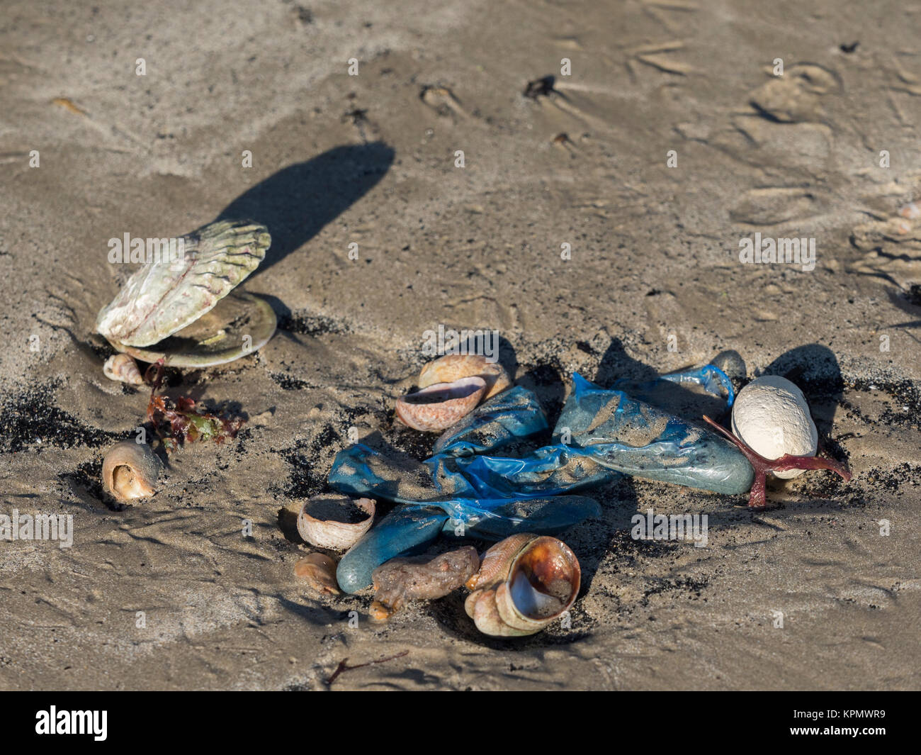 Plastic waste on beach Stock Photo - Alamy