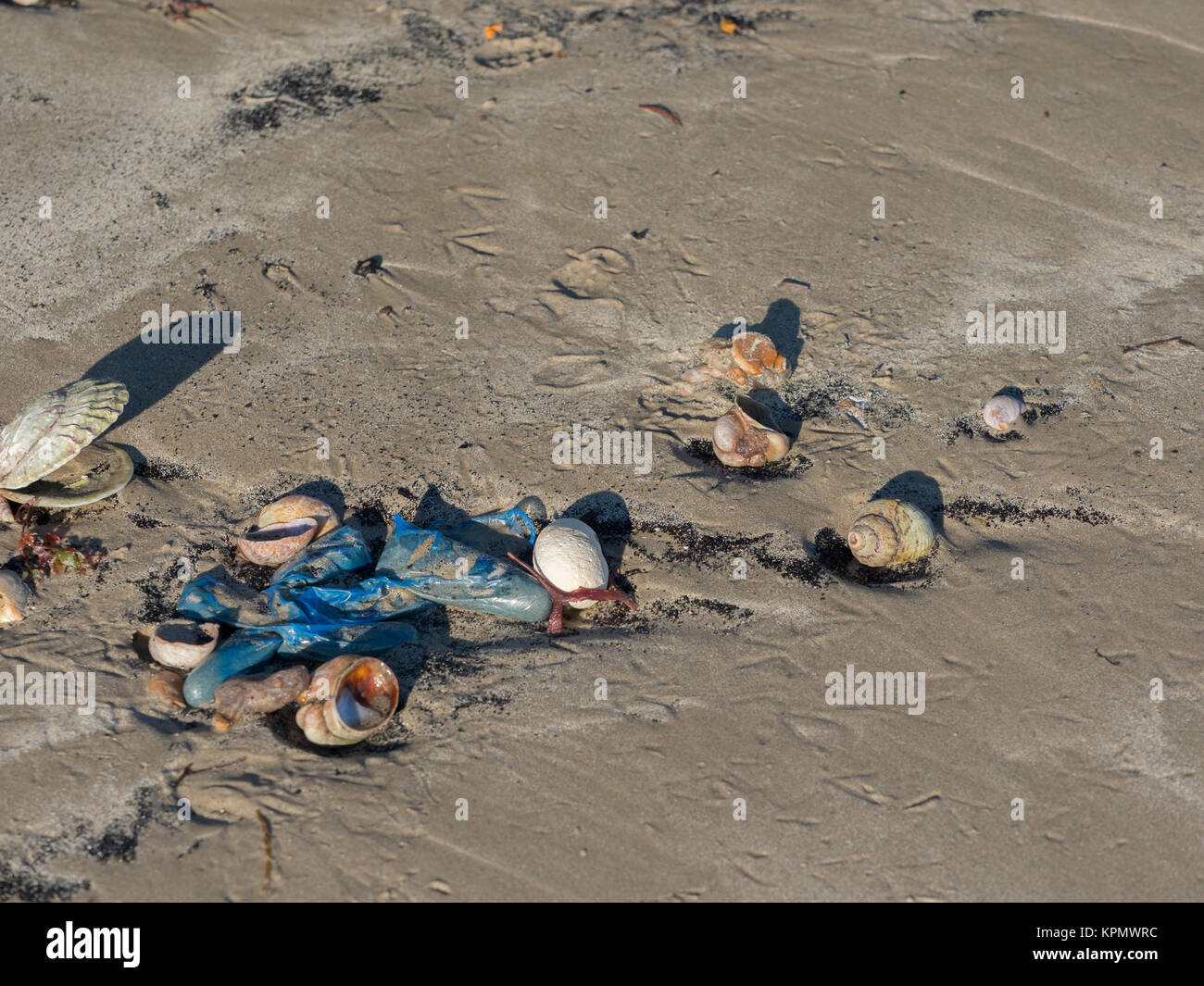 Plastic waste on beach Stock Photo - Alamy