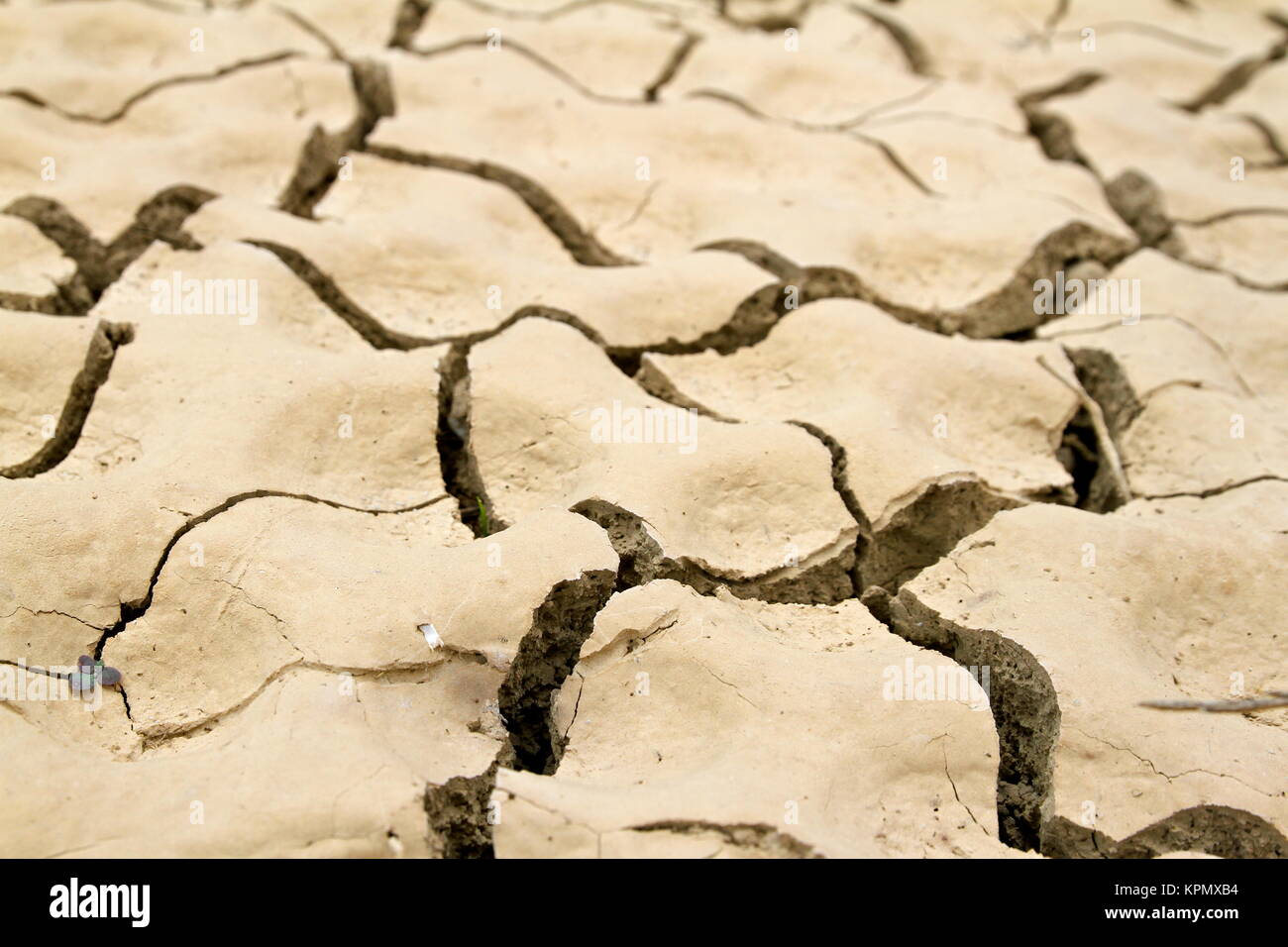 the severe drought Stock Photo - Alamy
