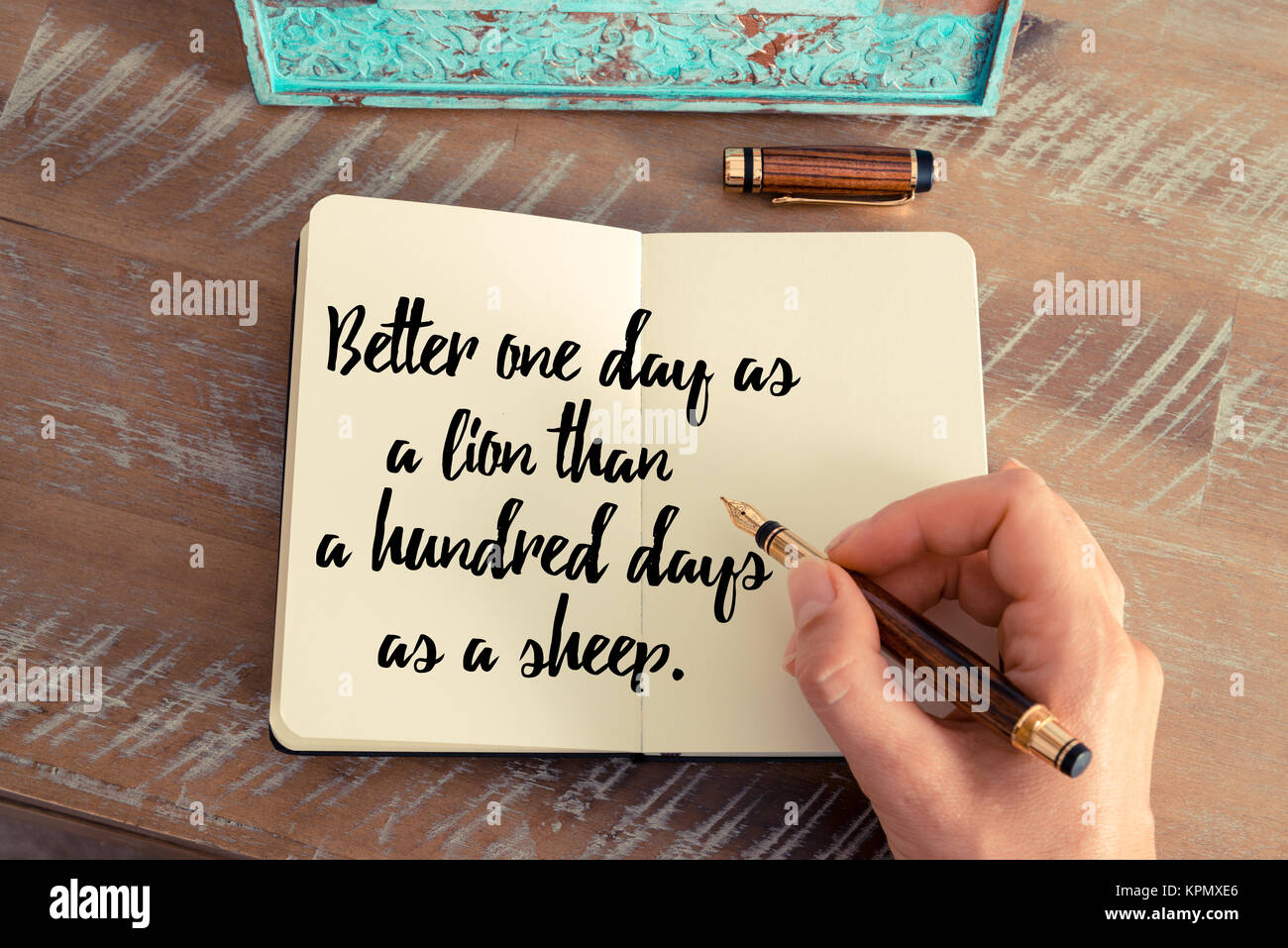 Lion design inspiration hi-res stock photography and images - Alamy