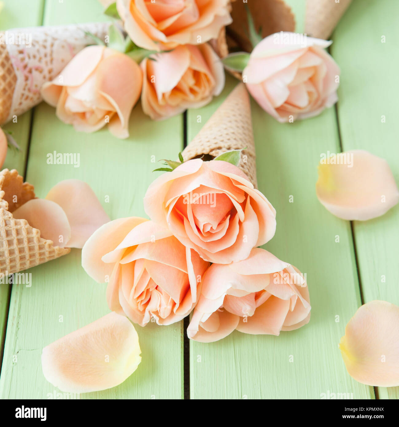 fresh roses in ice cream cones Stock Photo - Alamy