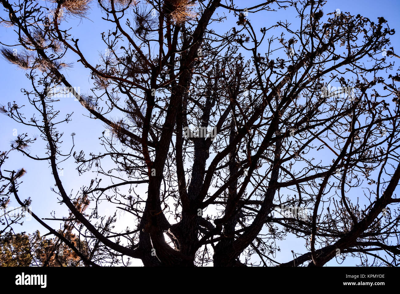 Hot fire smoke burn effects hi-res stock photography and images - Alamy