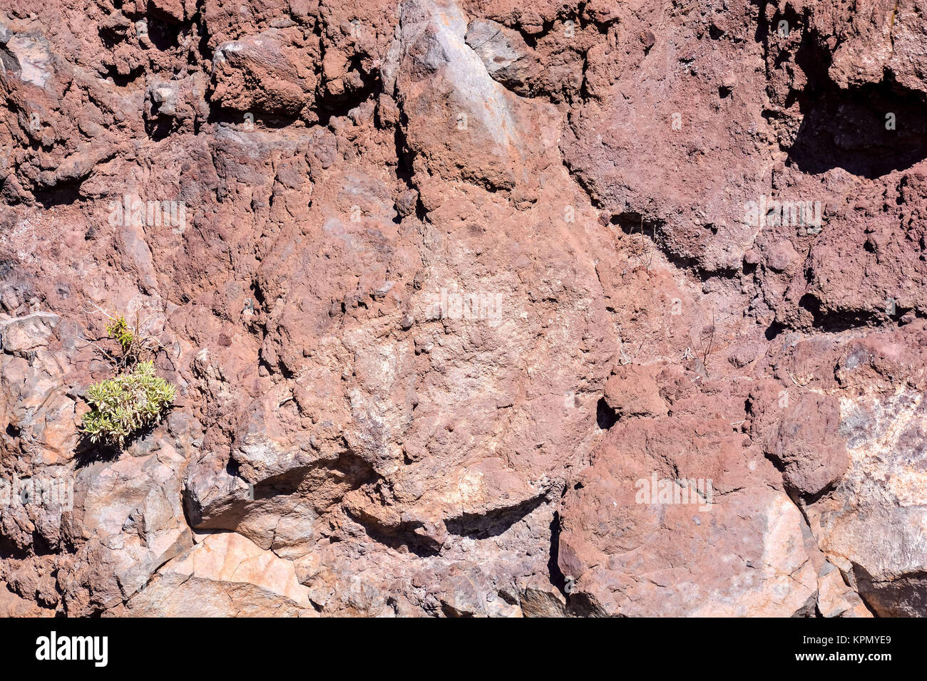 dry basaltic lava rock Stock Photo - Alamy