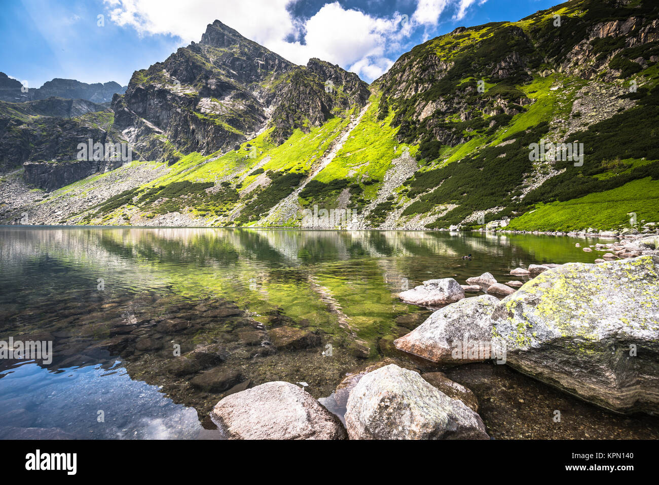 Green water mountain lake Morskie Oko, Tatra Mountains, Poland Stock ...