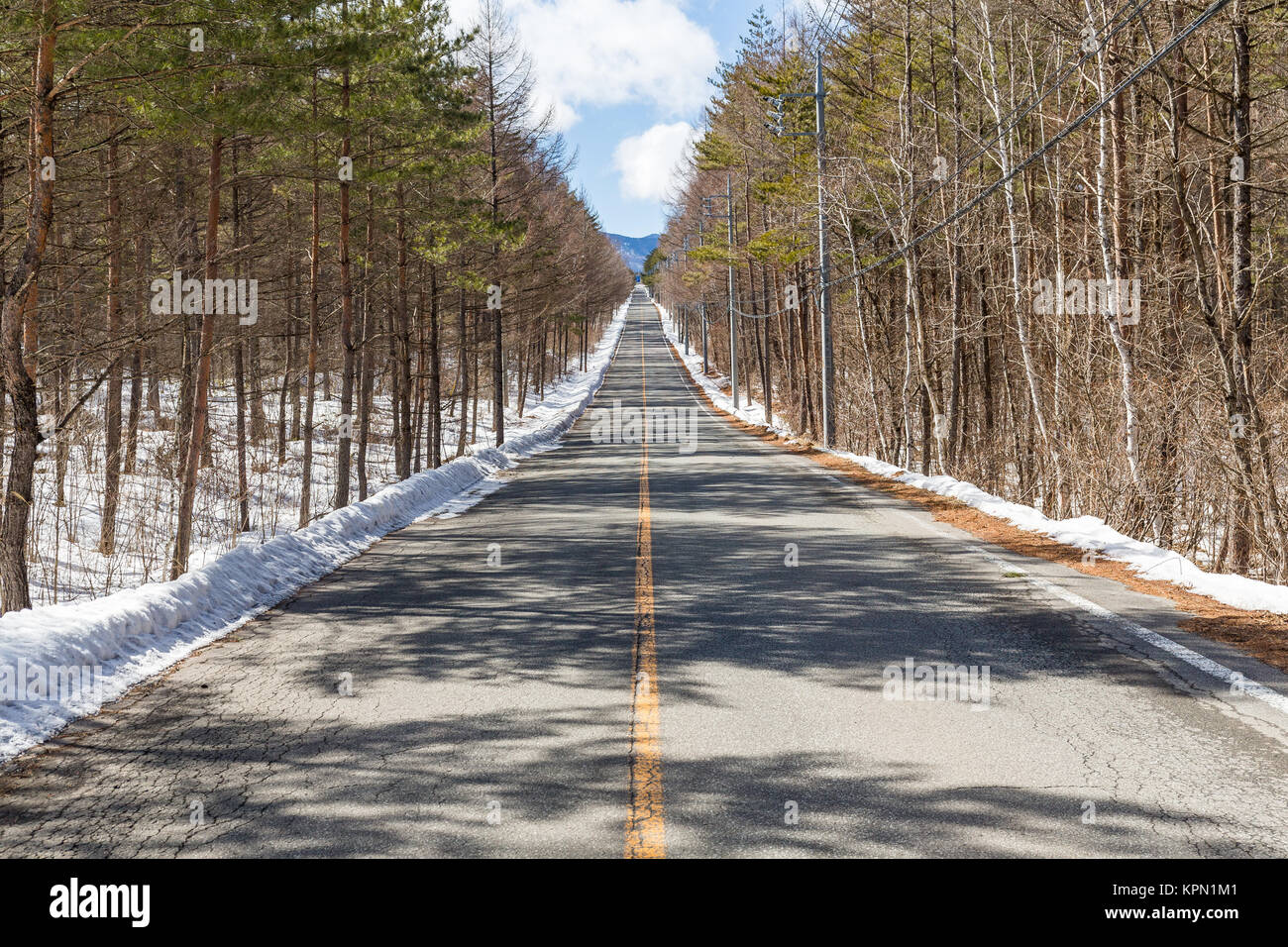 Traffic road in forest Stock Photo - Alamy
