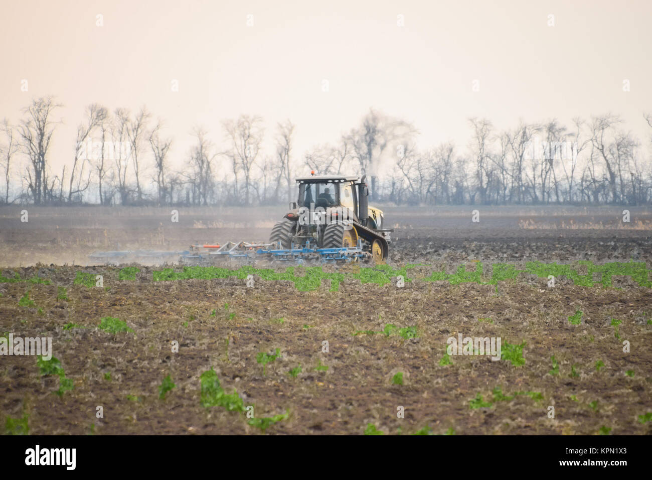 Tractor plowing the soil processes Stock Photo - Alamy