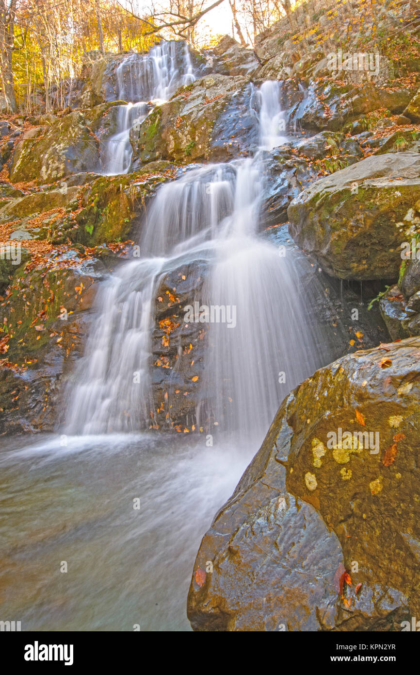 Hidden hollow hi-res stock photography and images - Alamy