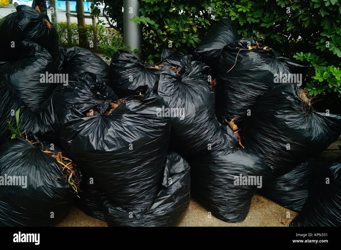 Black plastic bags filled with garbage, heaps of heaps, on the city ...