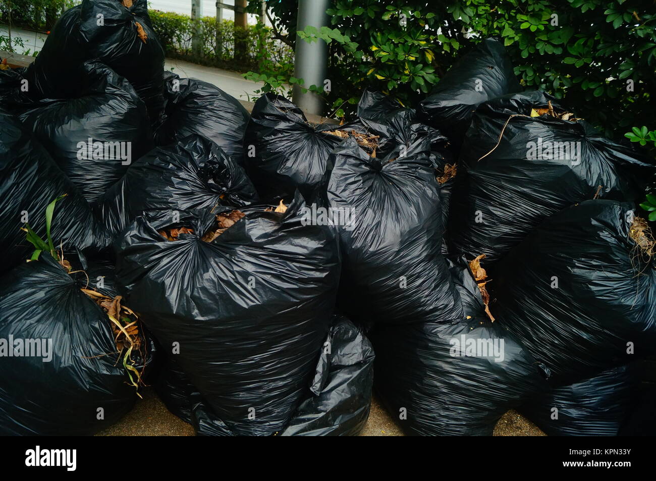 Black plastic bags filled with garbage, heaps of heaps, on the city ...