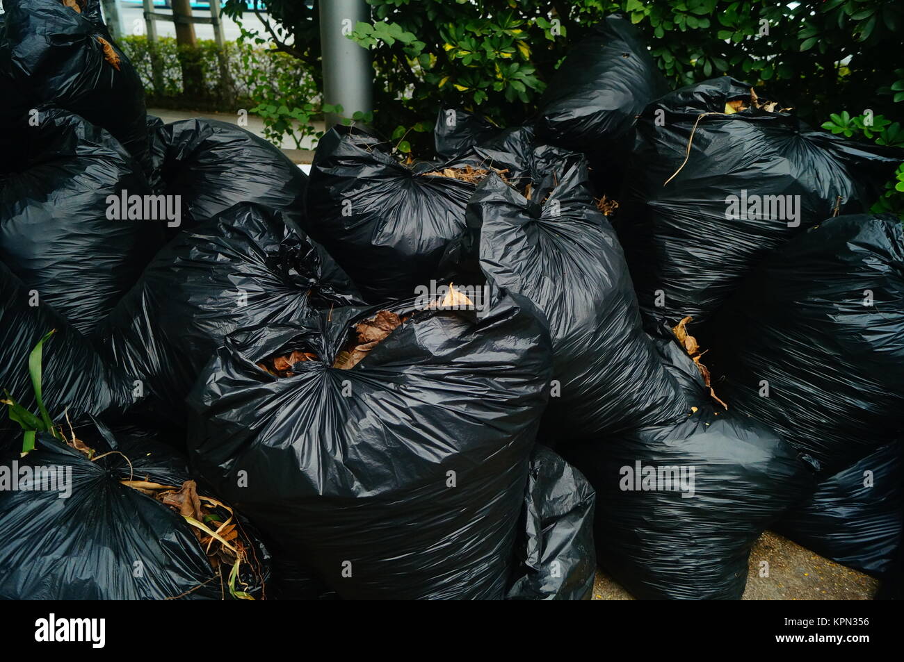 Black plastic bags filled with garbage, heaps of heaps, on the city ...