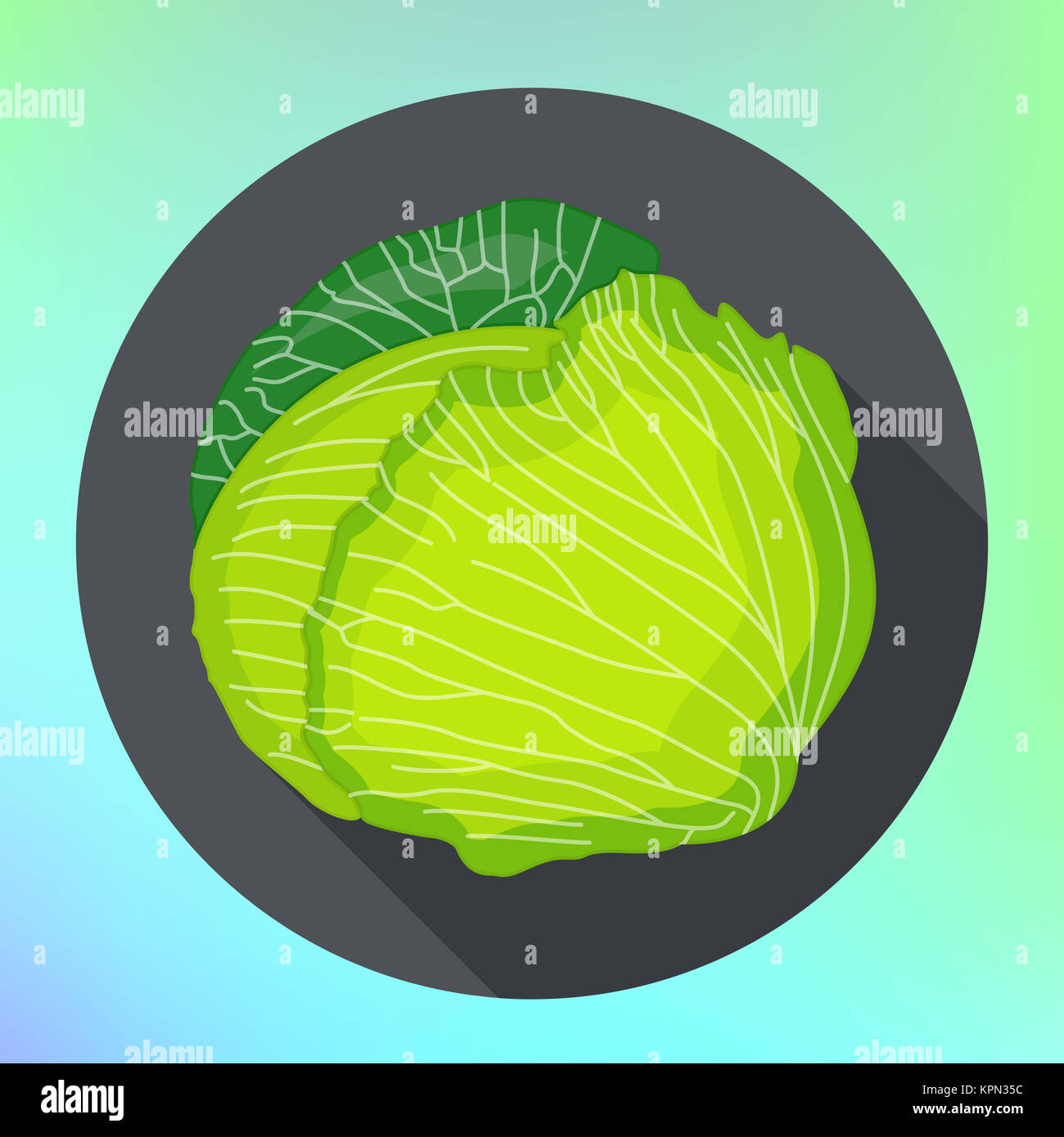 Cabbage logo hi-res stock photography and images - Alamy