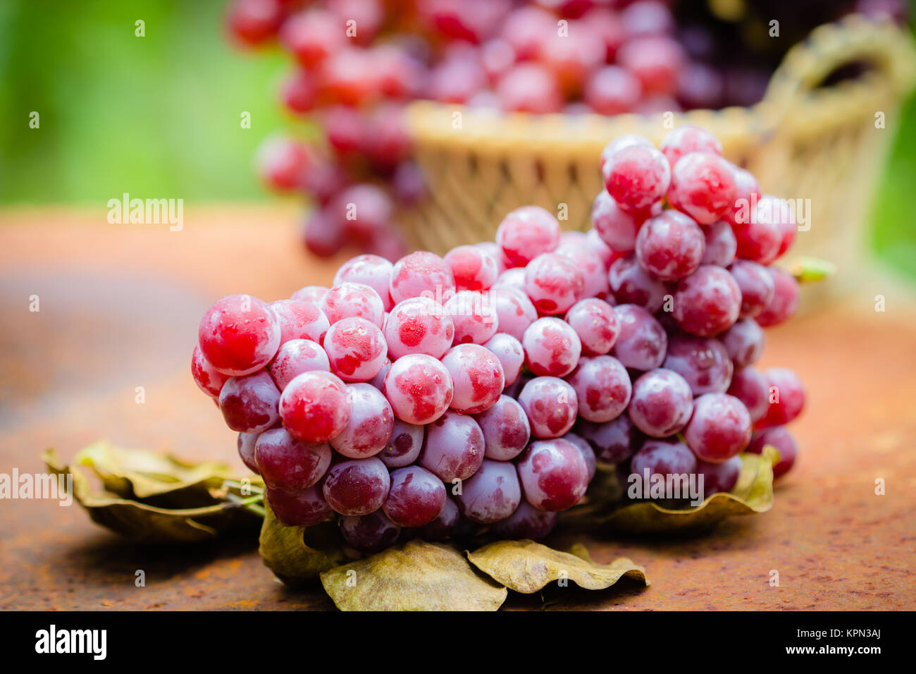 Red grape fruits Stock Photo - Alamy