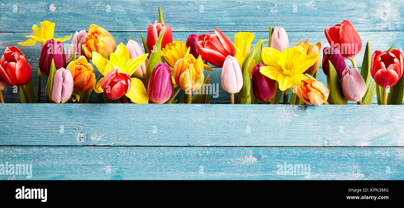 Colorful arrangement of fresh spring flowers with tulips and narcissus ...