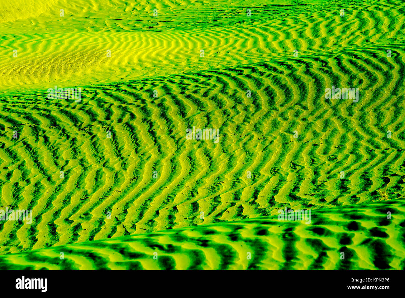 Details of wind drift patterns on large sand dune at Great Sand Hills ...