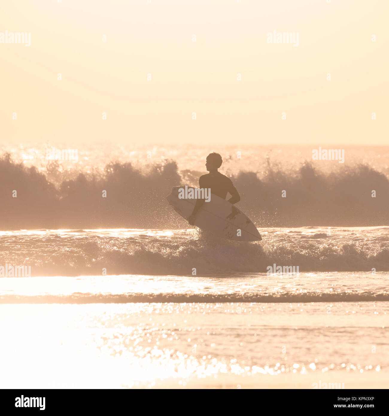 Surfers on beach with surfboard Stock Photo - Alamy