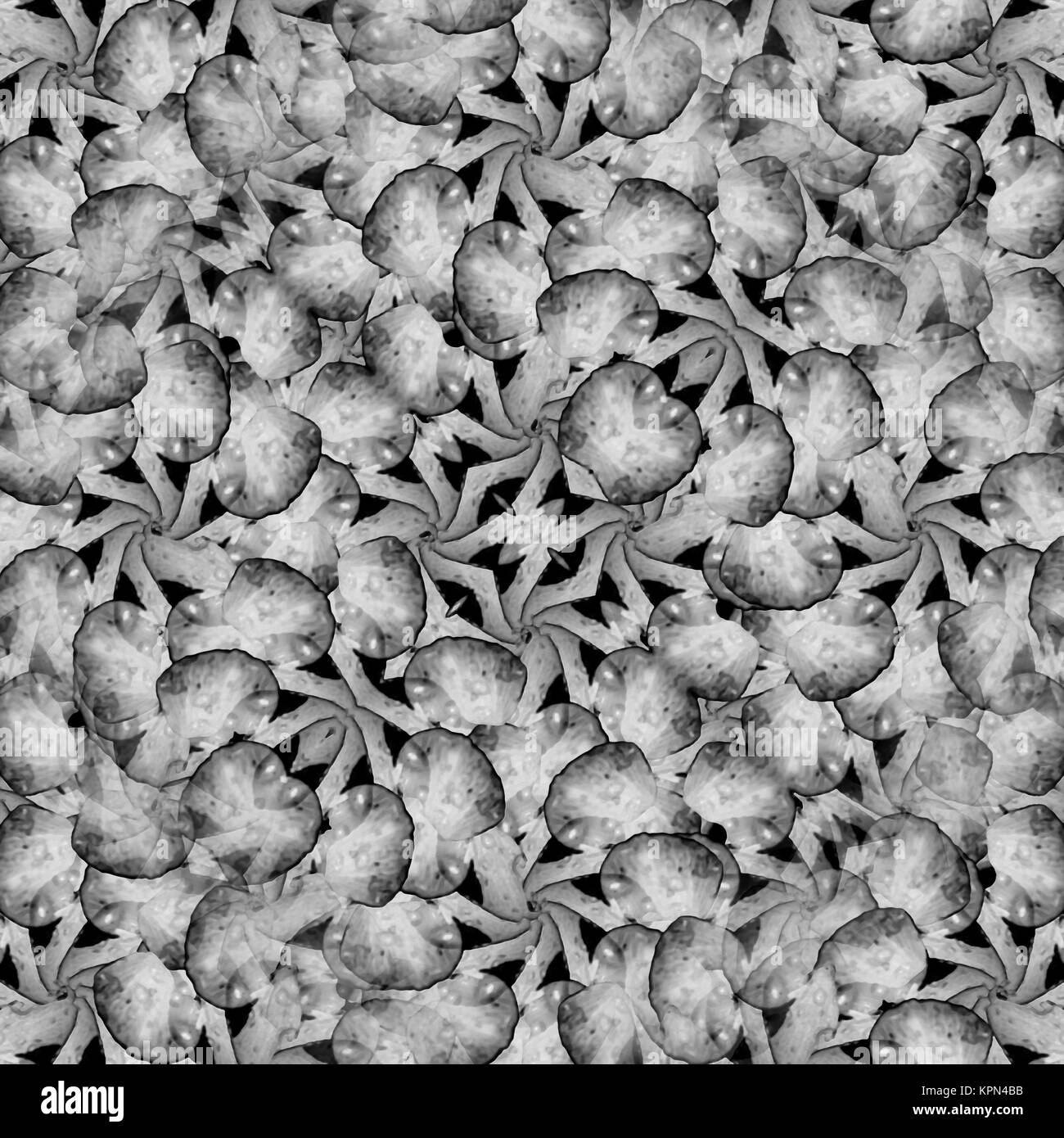 Intricate Abstract Pattern Stock Photo - Alamy