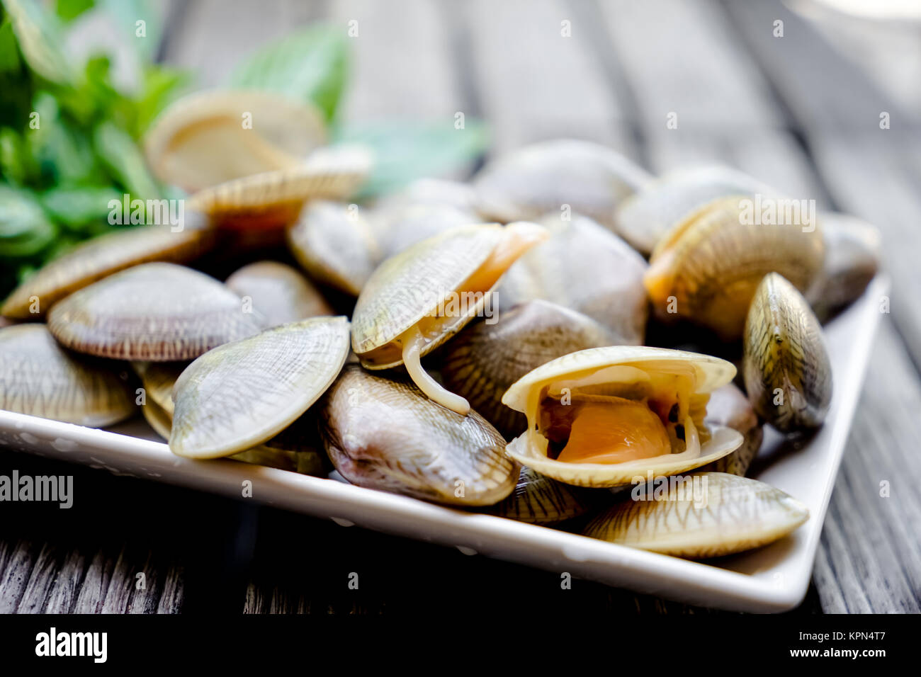 Raw surf clams hi-res stock photography and images - Alamy