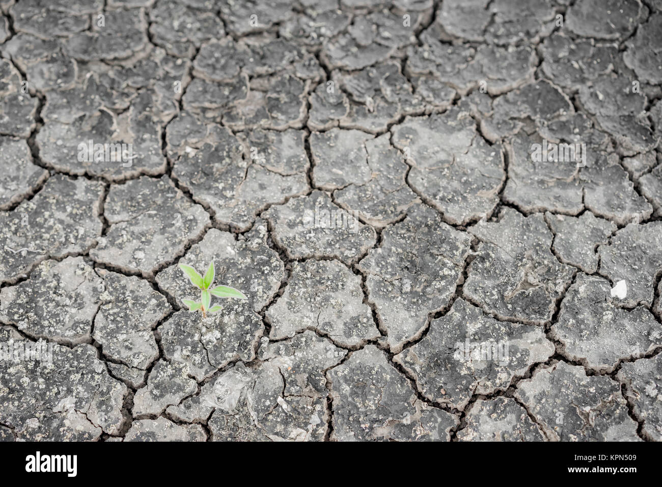 cracked clay ground Stock Photo - Alamy