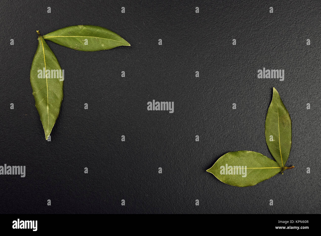 Frame of bay leaves on black chalkboard Stock Photo - Alamy