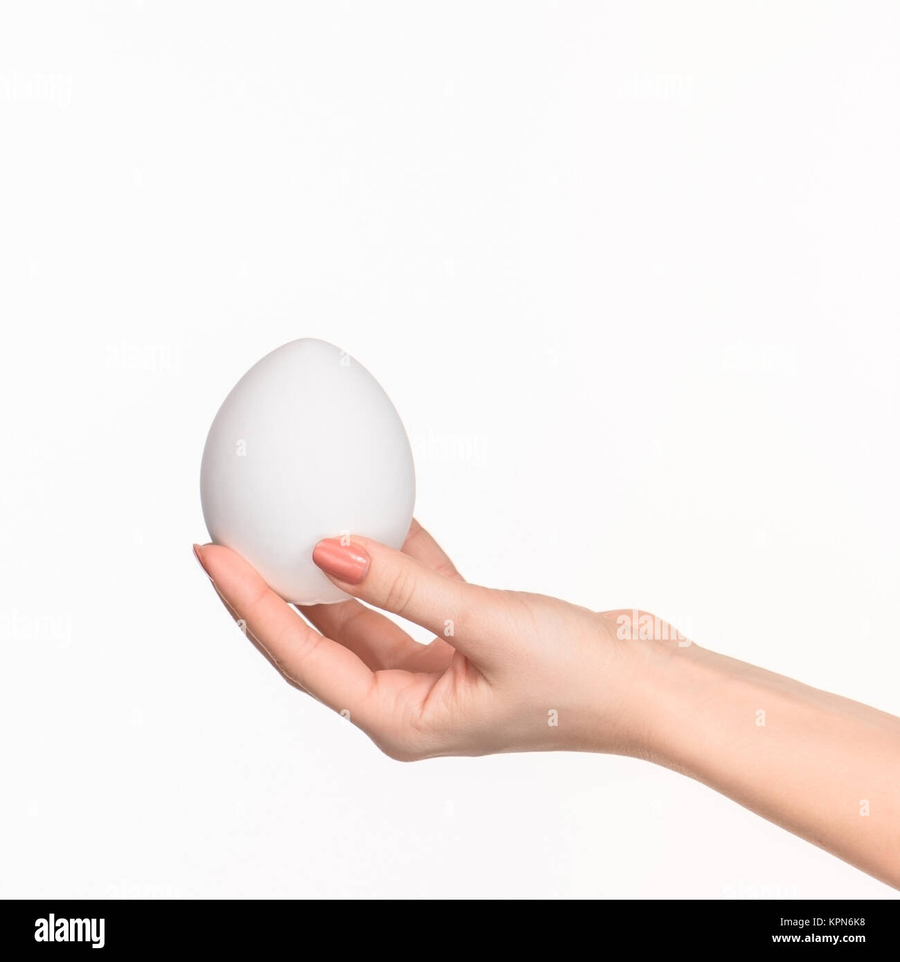 The female hand holding white blank styrofoam oval Stock Photo - Alamy