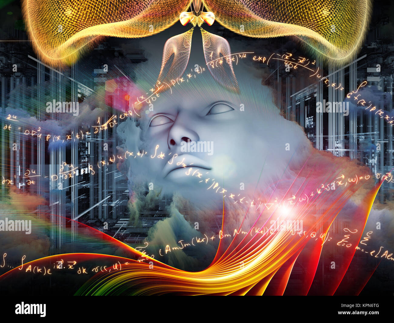 The visible human project hi-res stock photography and images - Alamy