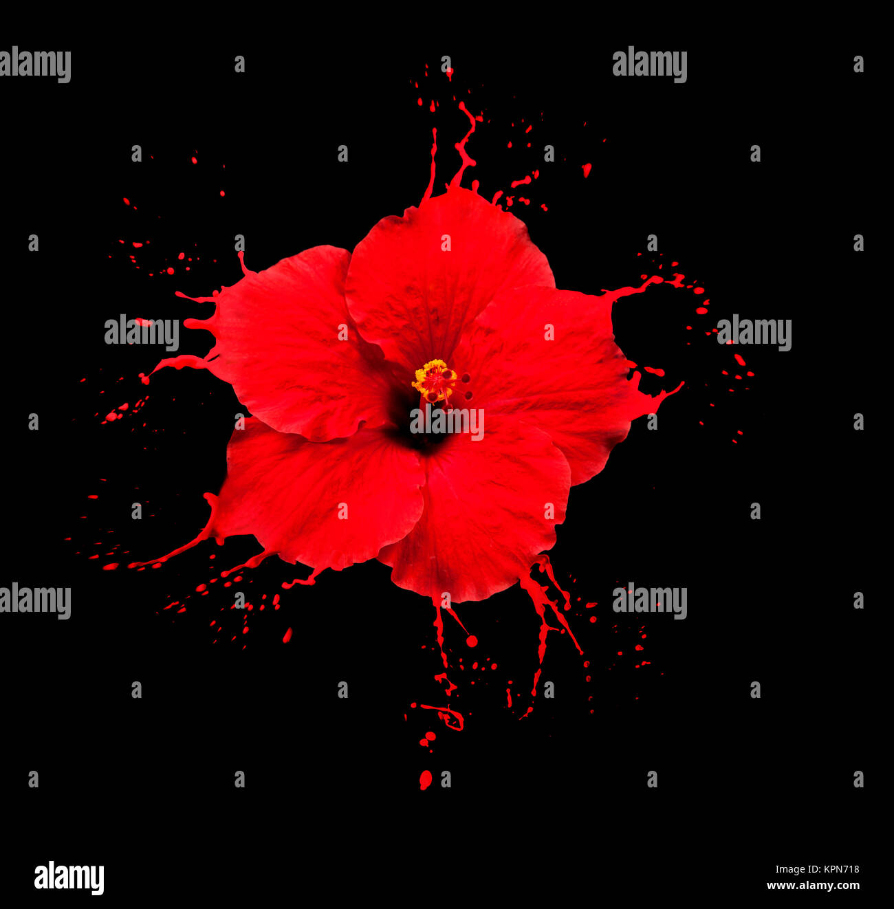 Splashes red paint in macro hi-res stock photography and images - Alamy