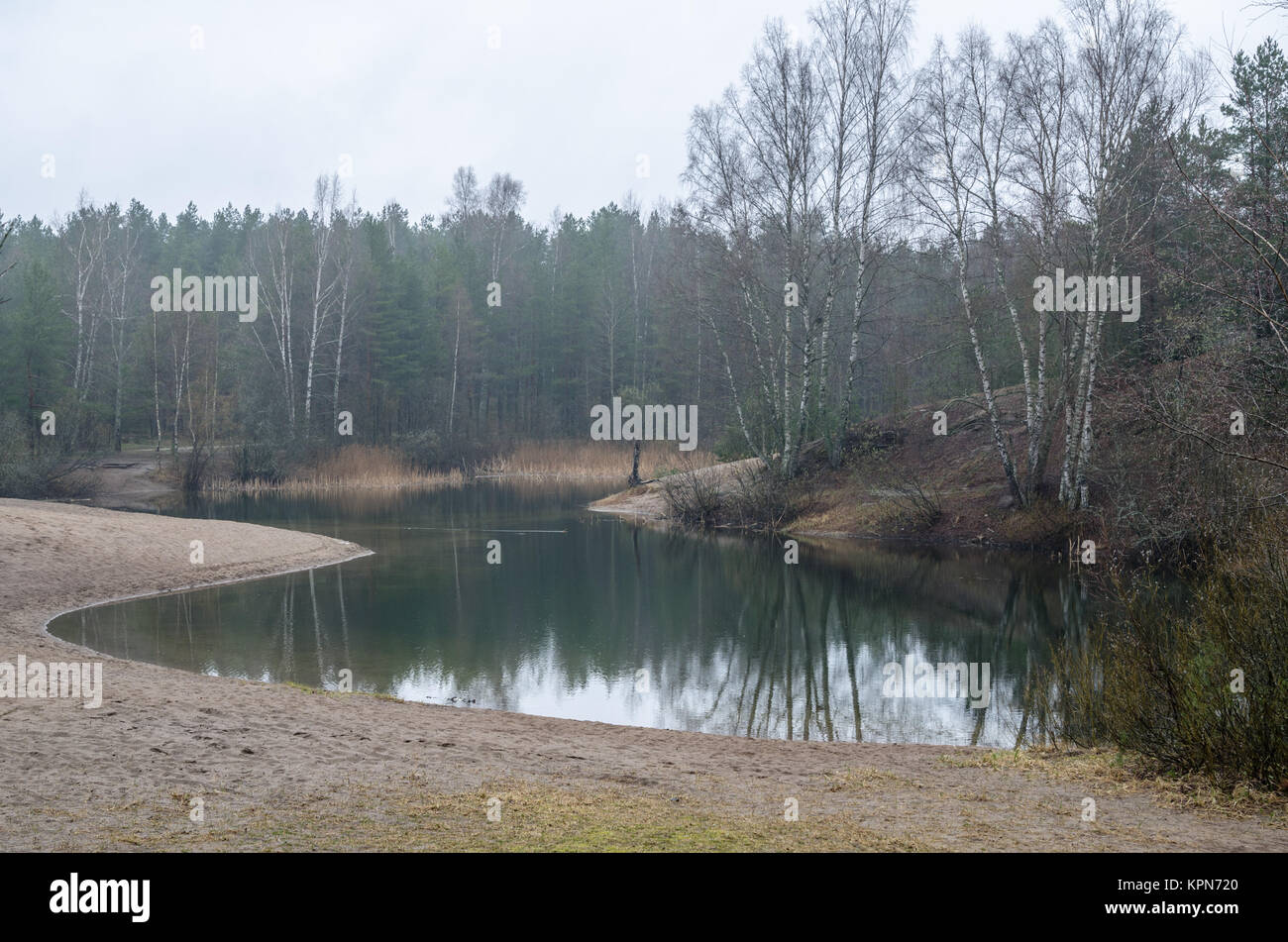 Foggy spring landscape in the forest lake Stock Photo - Alamy