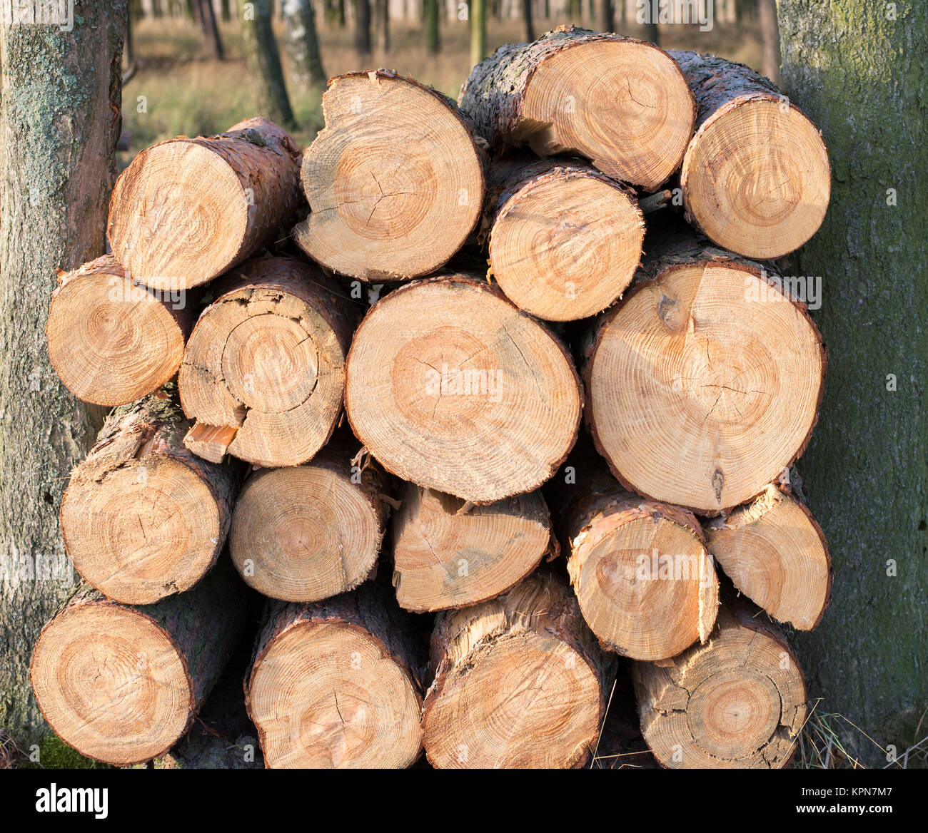 Http: www shutterstock com hi-res stock photography and images - Alamy