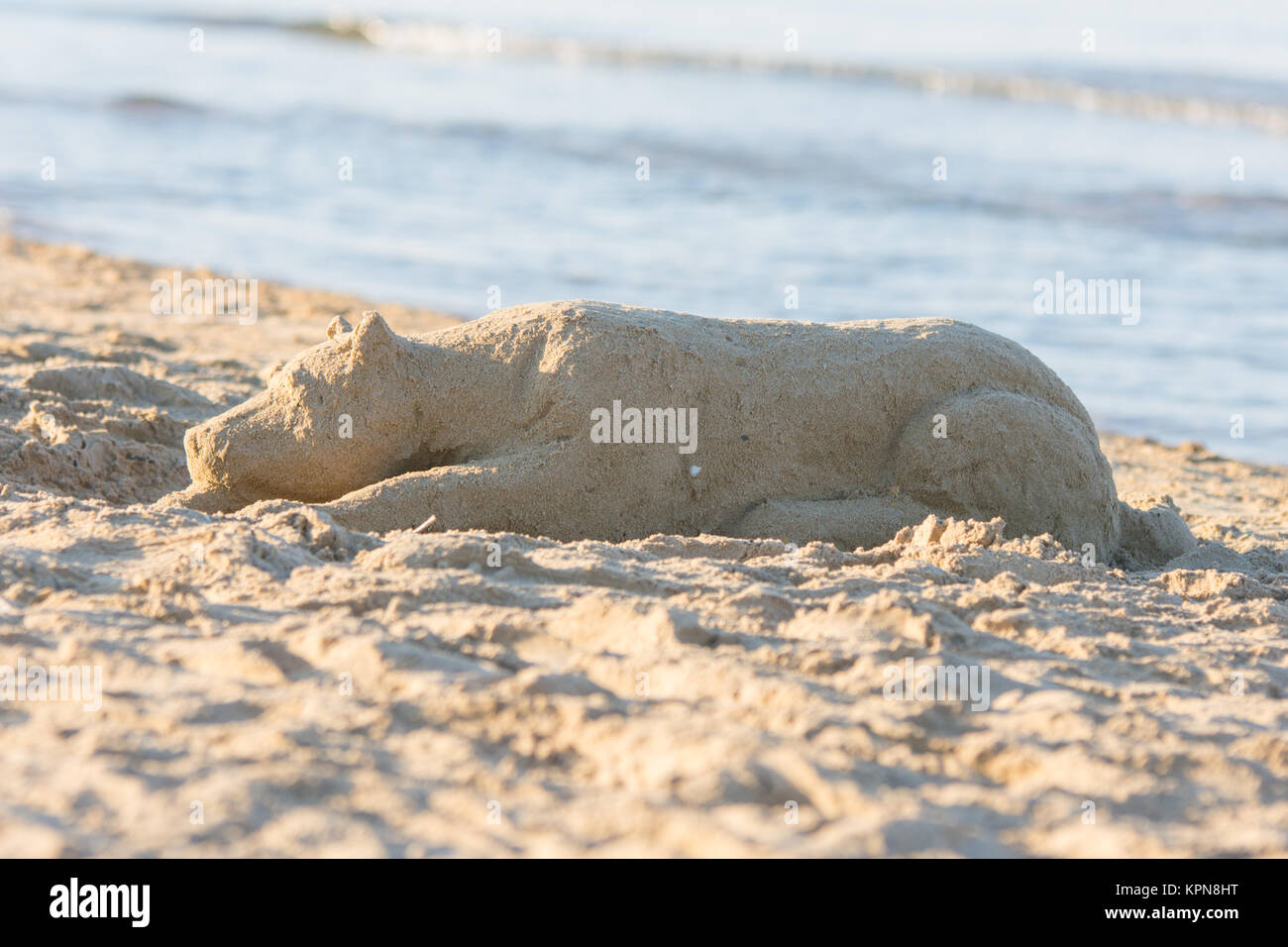 Sand figure sleplena dog on the beach Stock Photo - Alamy