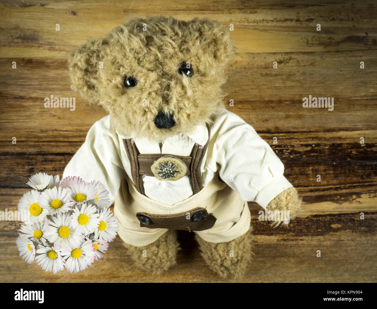 teddy presented flowers Stock Photo - Alamy