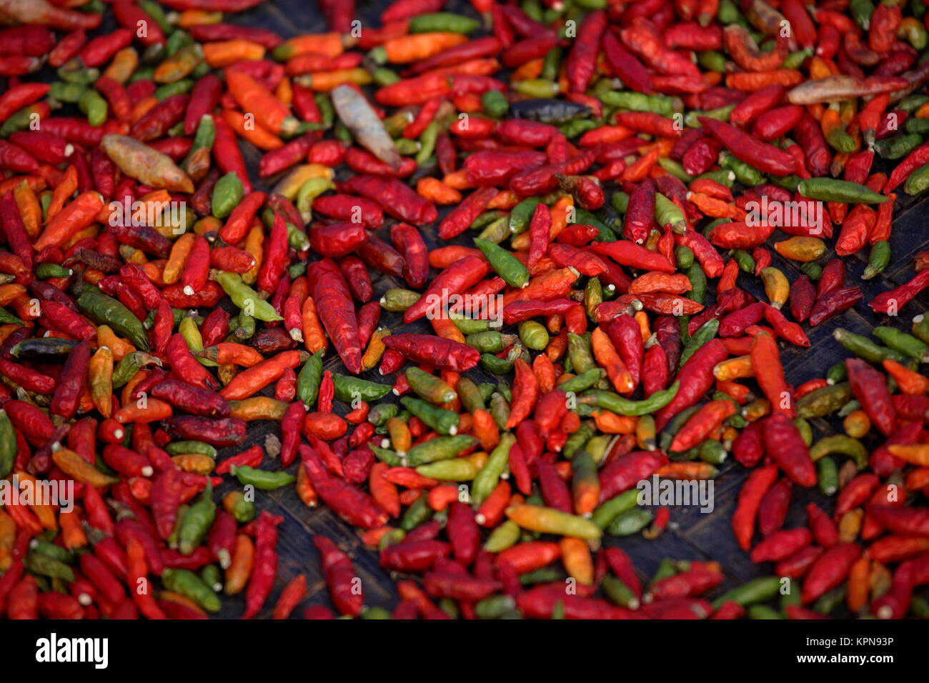Rote chilli hi-res stock photography and images - Alamy