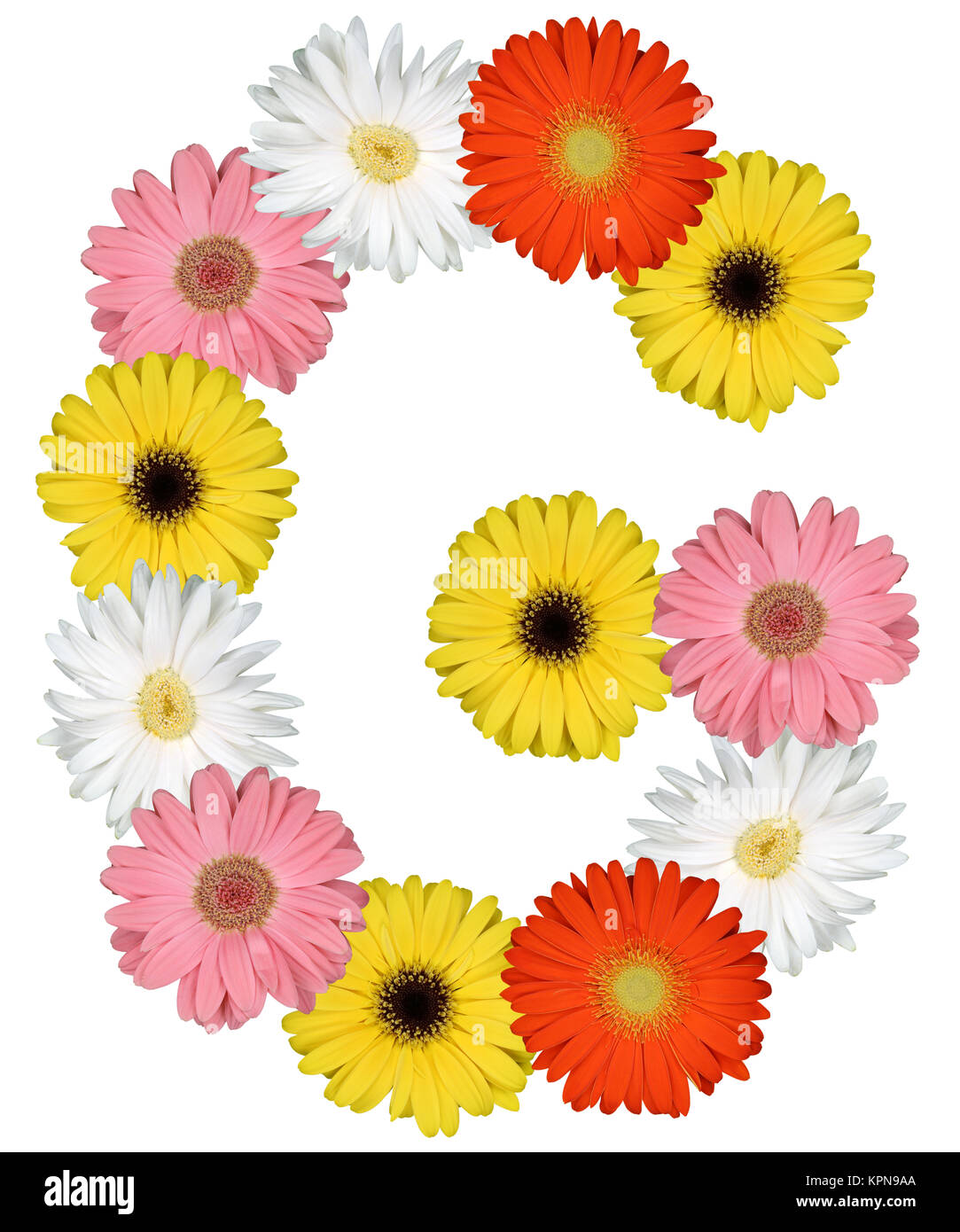 Letter g flowers hi-res stock photography and images - Alamy