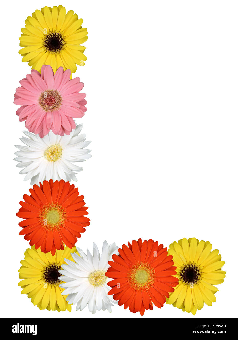 letter l alphabet of flowers cut on white Stock Photo - Alamy