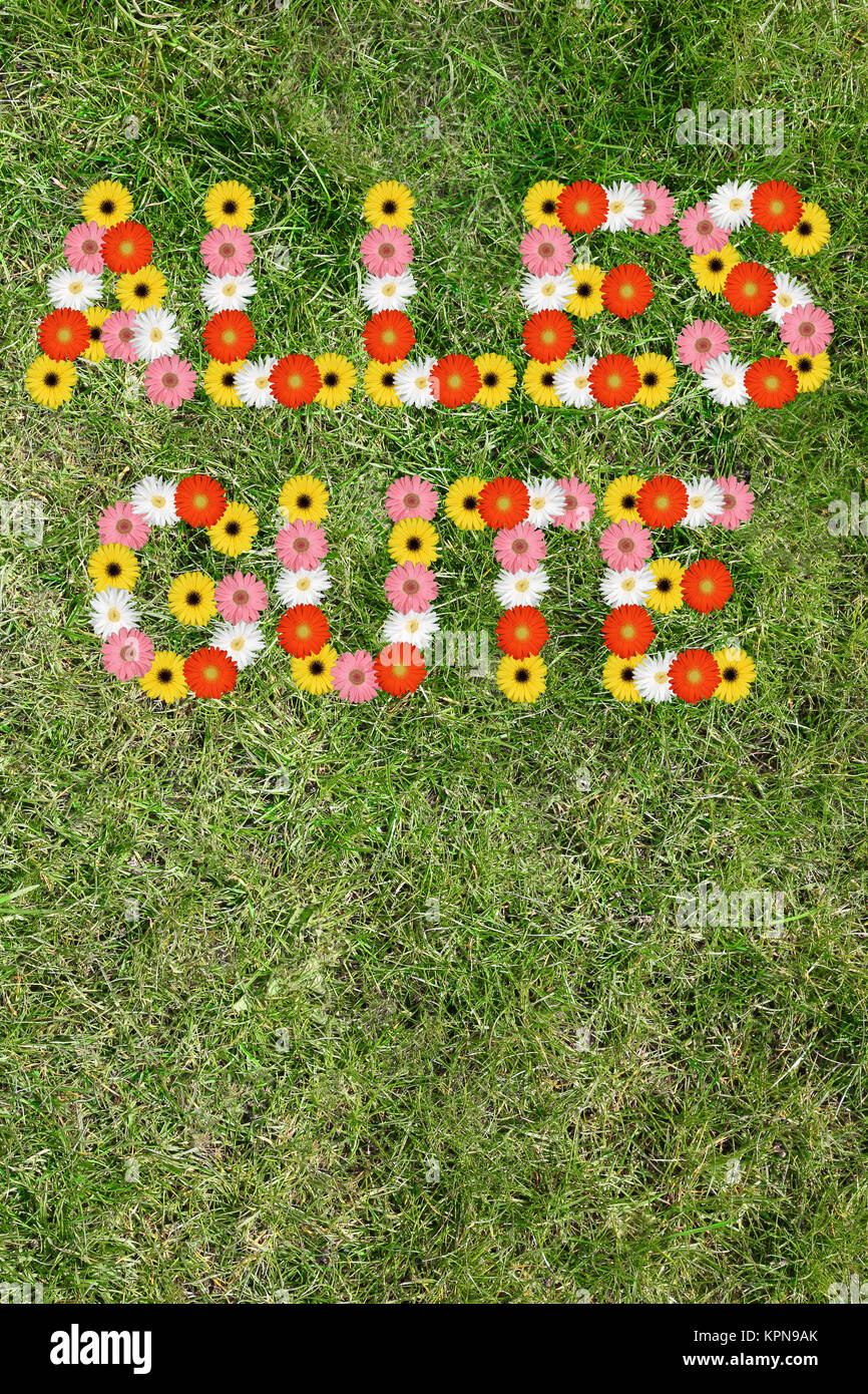 happy birthday card wish from flower grass meadow Stock Photo - Alamy