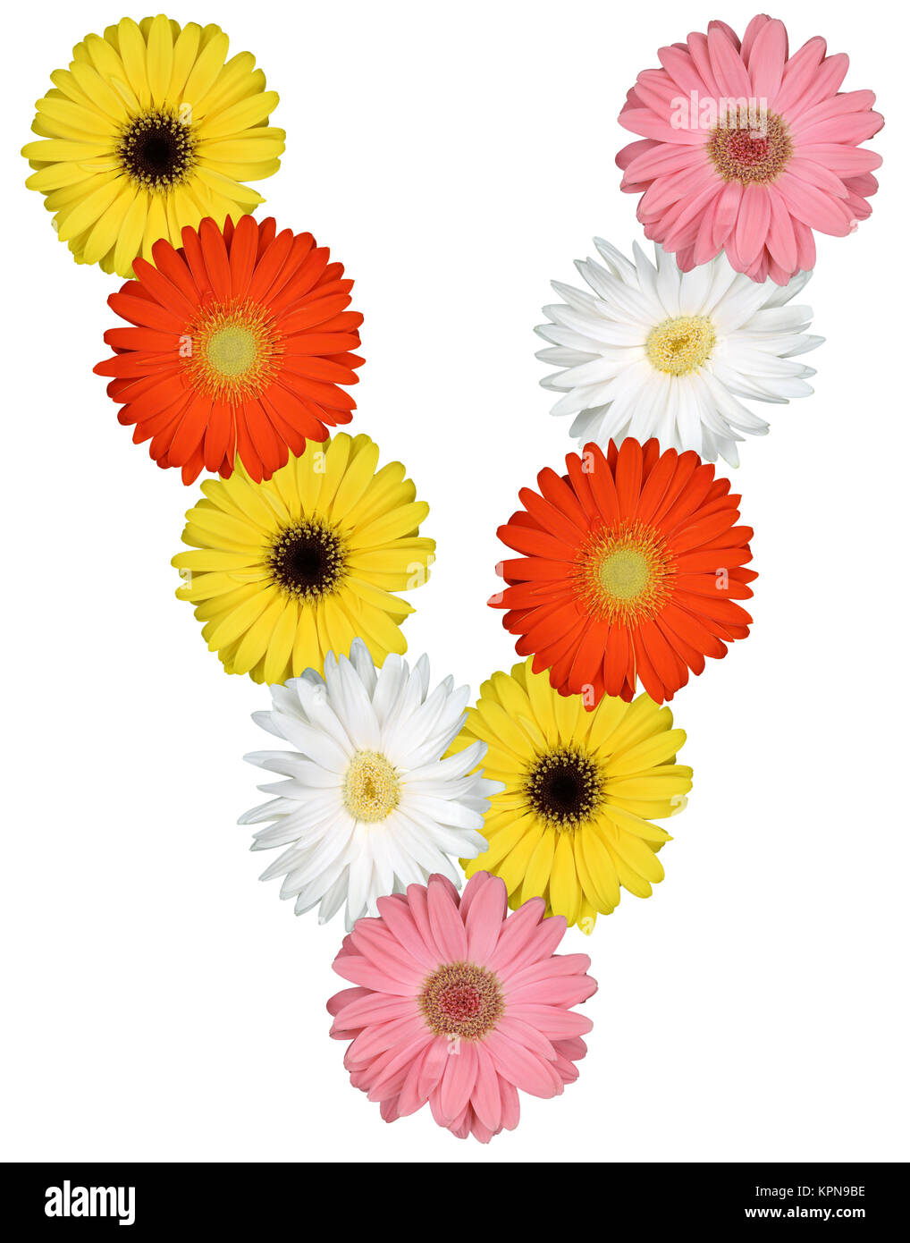 Flowers and text Cut Out Stock Images & Pictures - Alamy