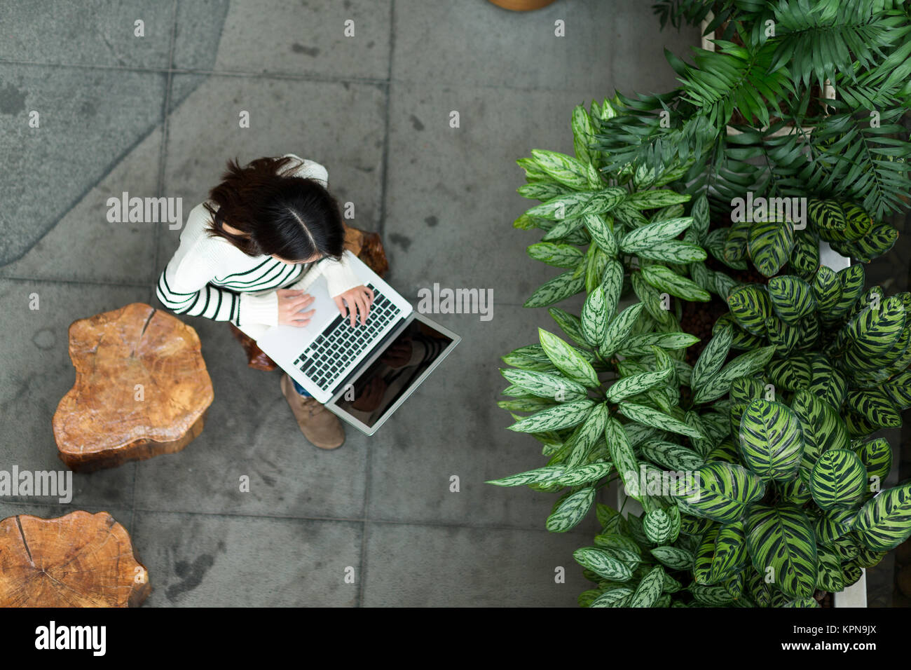 Top view of woman use of laptop computer Stock Photo - Alamy