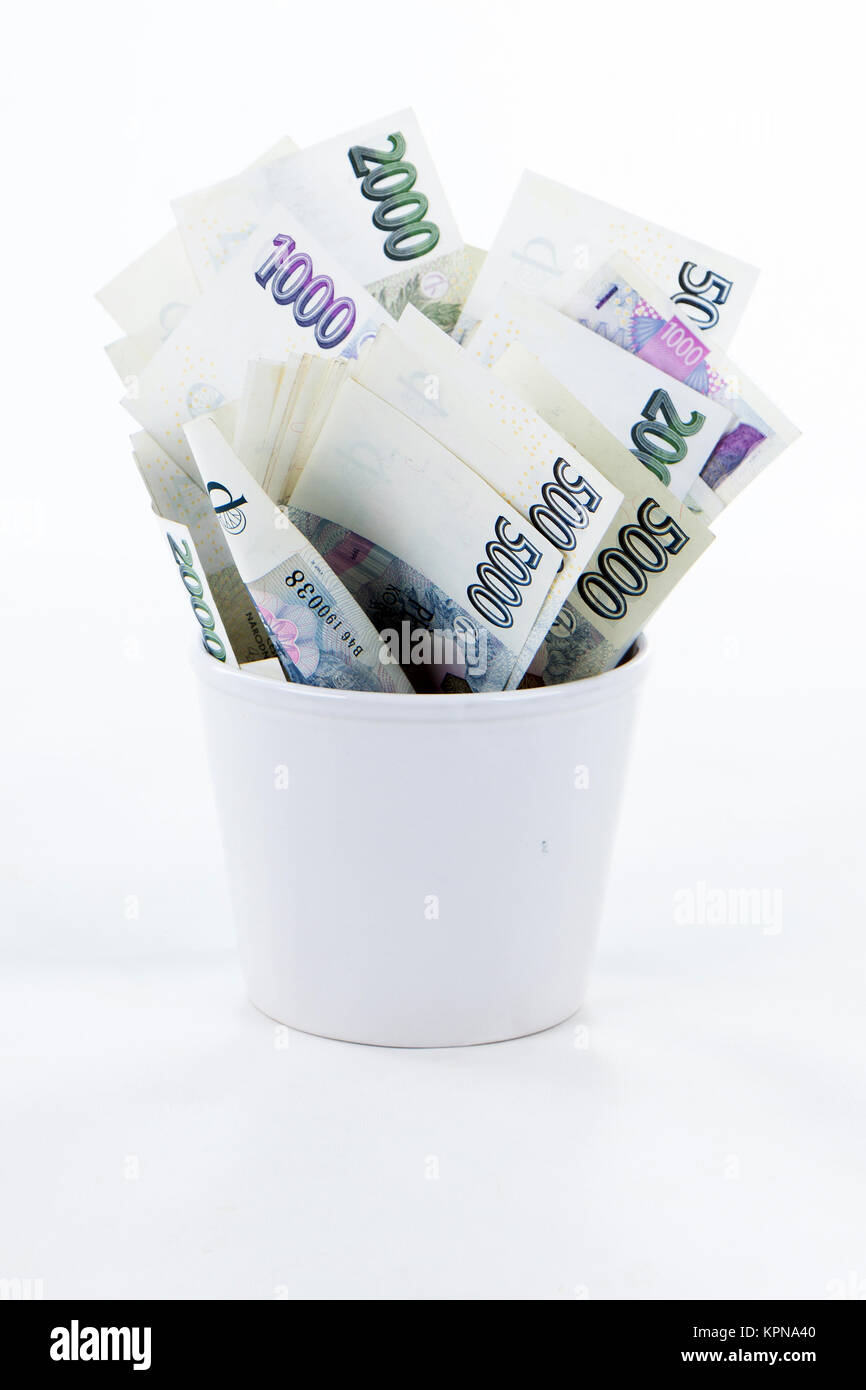 Czech paper money in flowerpot on white background Stock Photo - Alamy