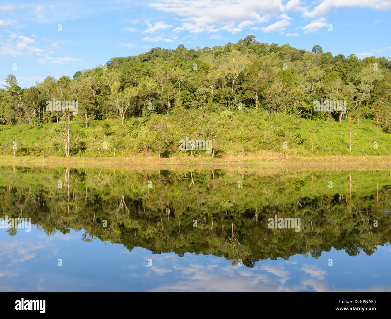 Pang Oung national park, reflection of pine tree in a lake, Mae Hong ...