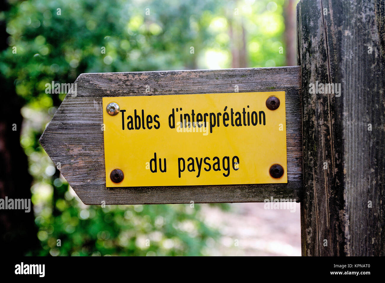 arrow indicating the direction to go to the guidance Stock Photo - Alamy