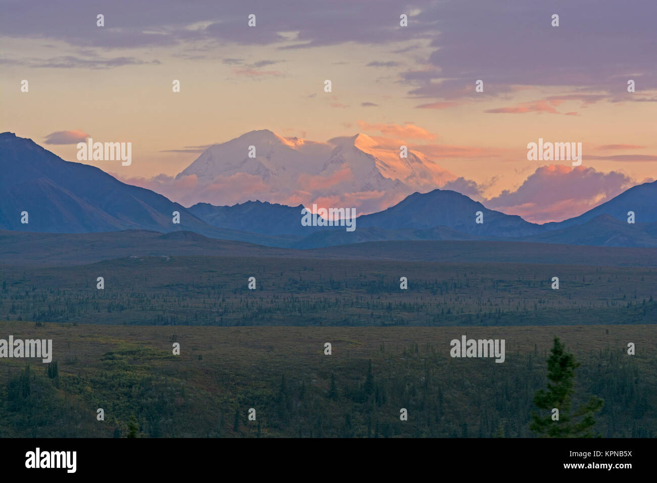Distant Sunset of Denali Stock Photo - Alamy