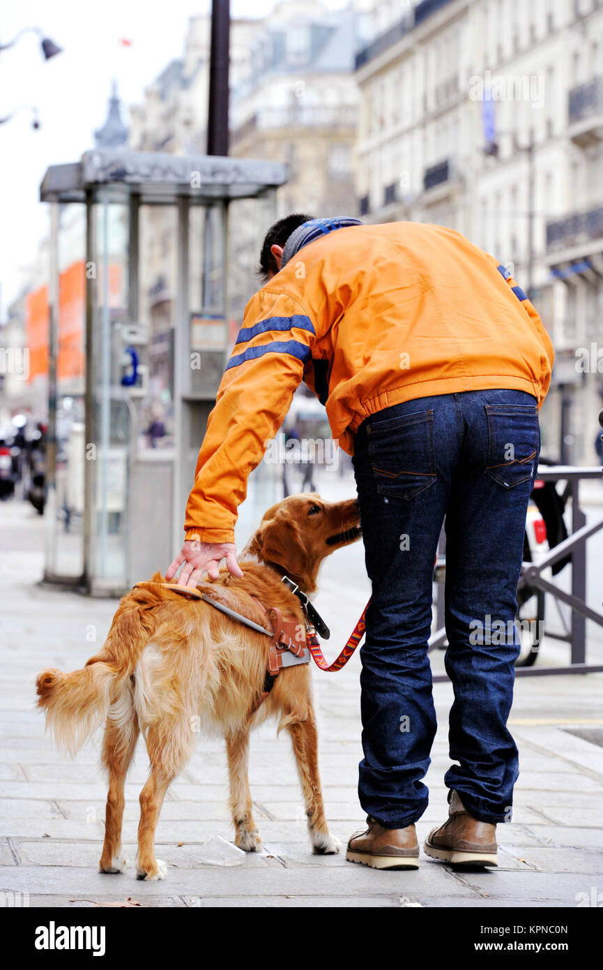 Guidedog hi-res stock photography and images - Alamy