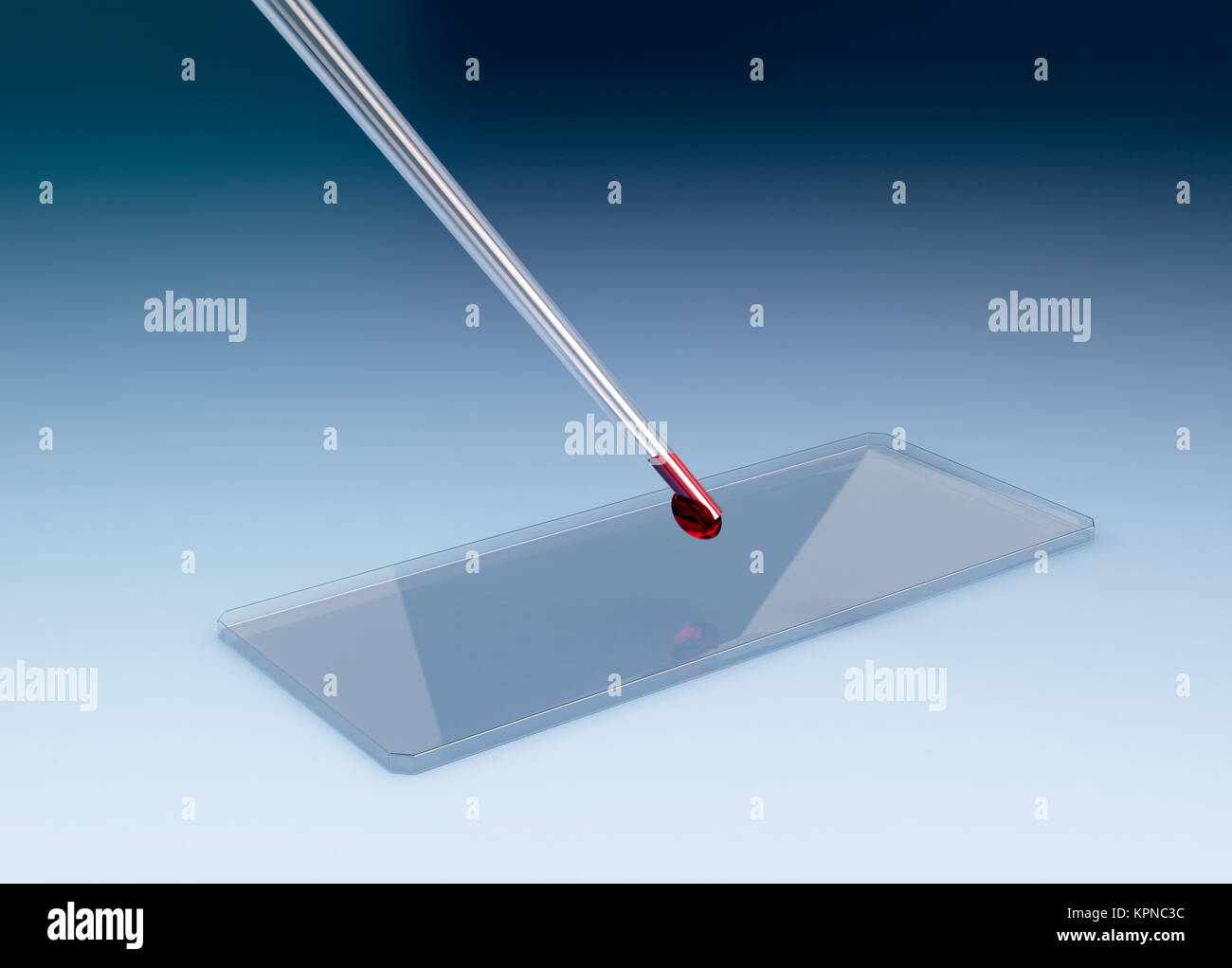 Microscope slide glass High Resolution Stock Photography and Images - Alamy