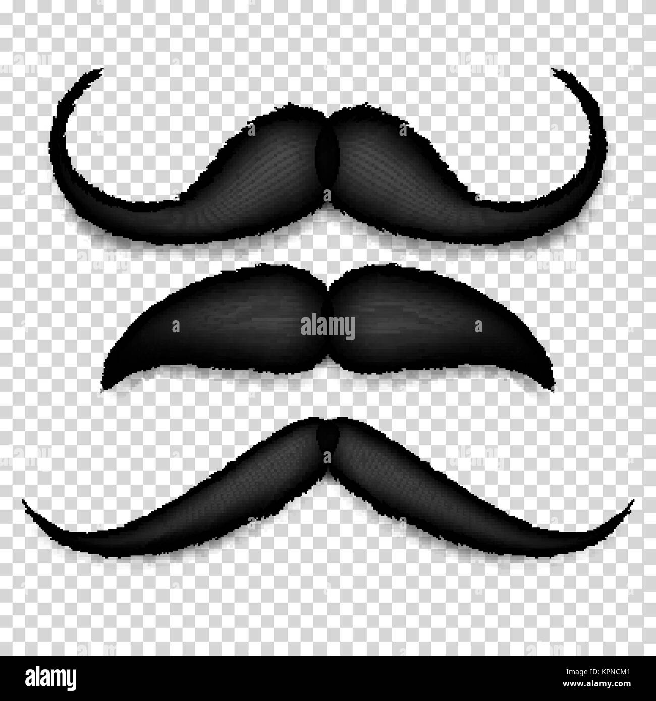 Mustache Isolated Vector Black Vintage Moustache Retro Collection