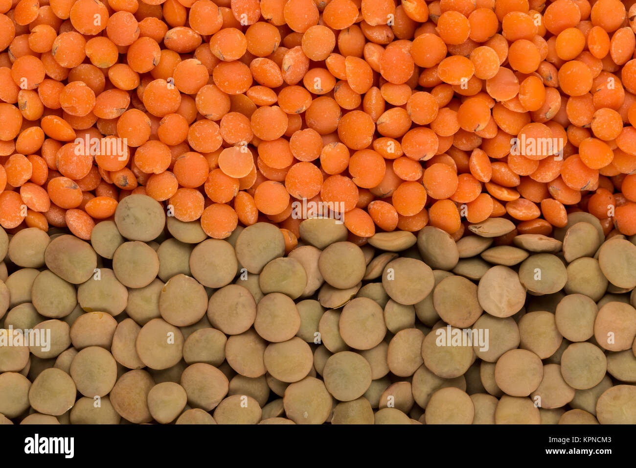 mix of lentils Stock Photo - Alamy