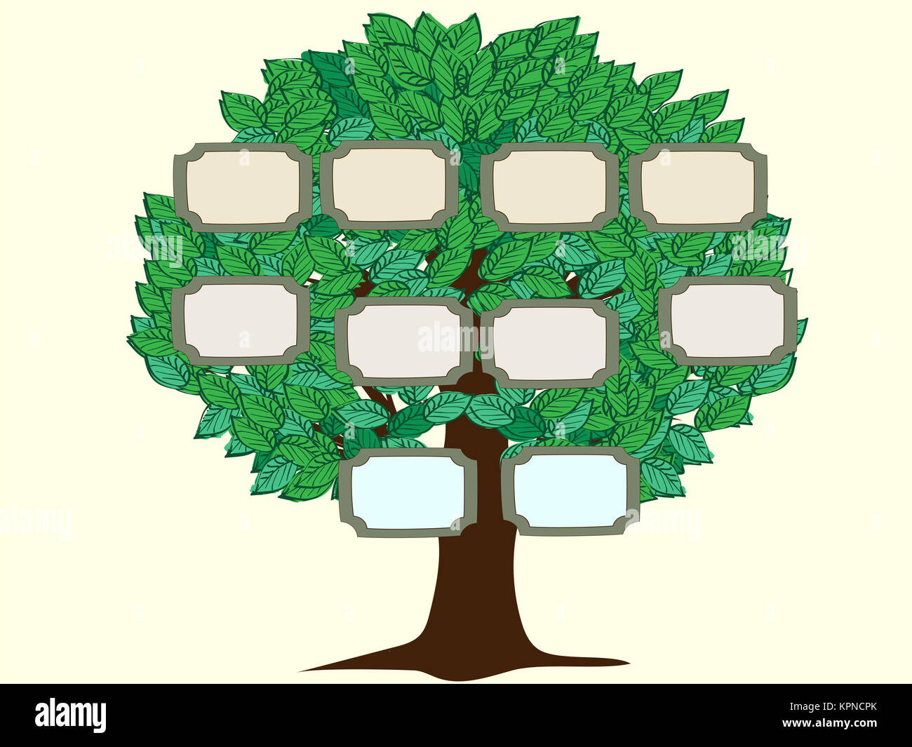 Family tree vector template hi-res stock photography and images - Alamy
