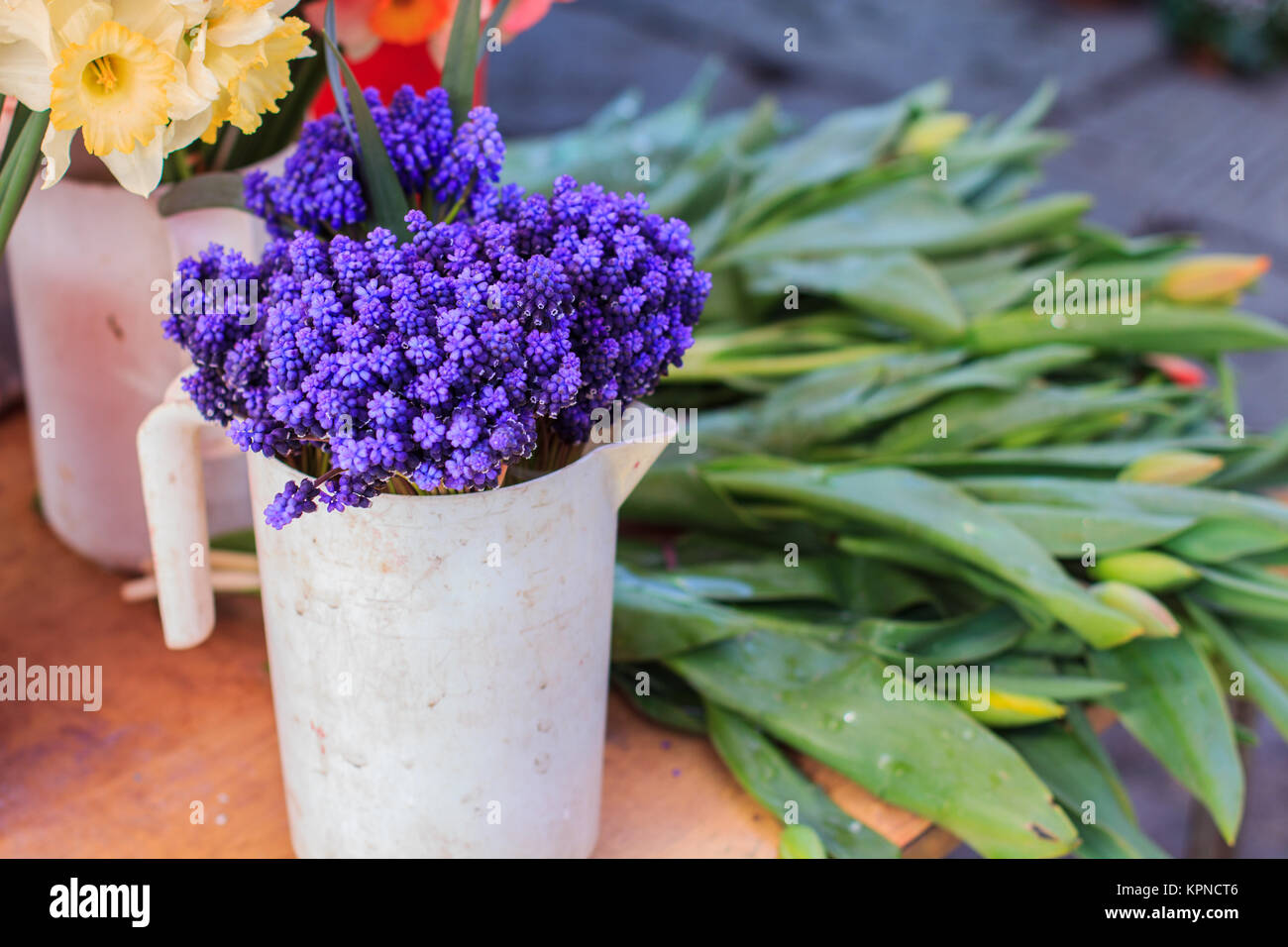 Colorful Spring Flower Stock Photo - Alamy