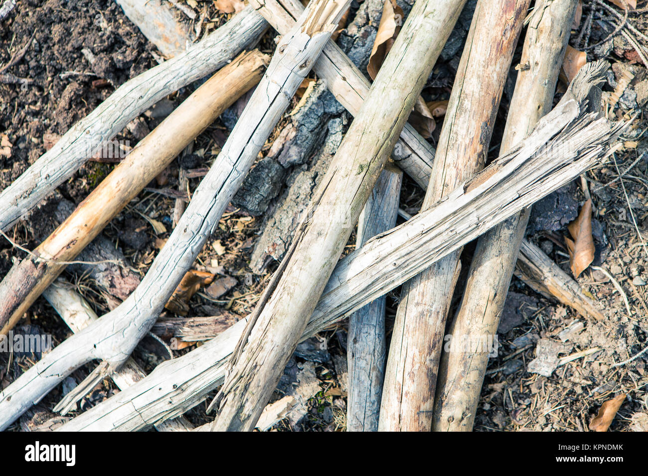 brown tree material Stock Photo - Alamy