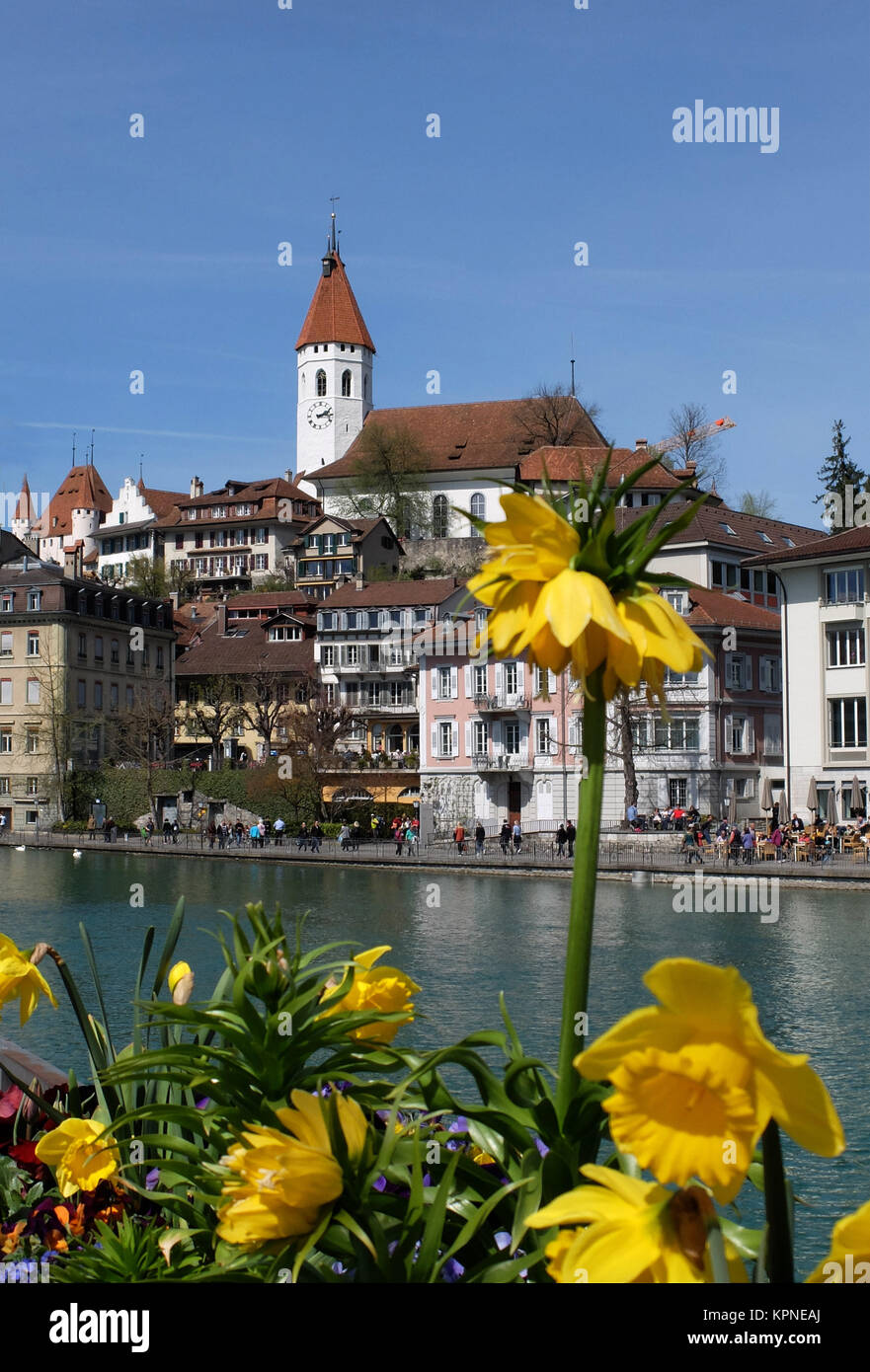 spring in thun Stock Photo - Alamy