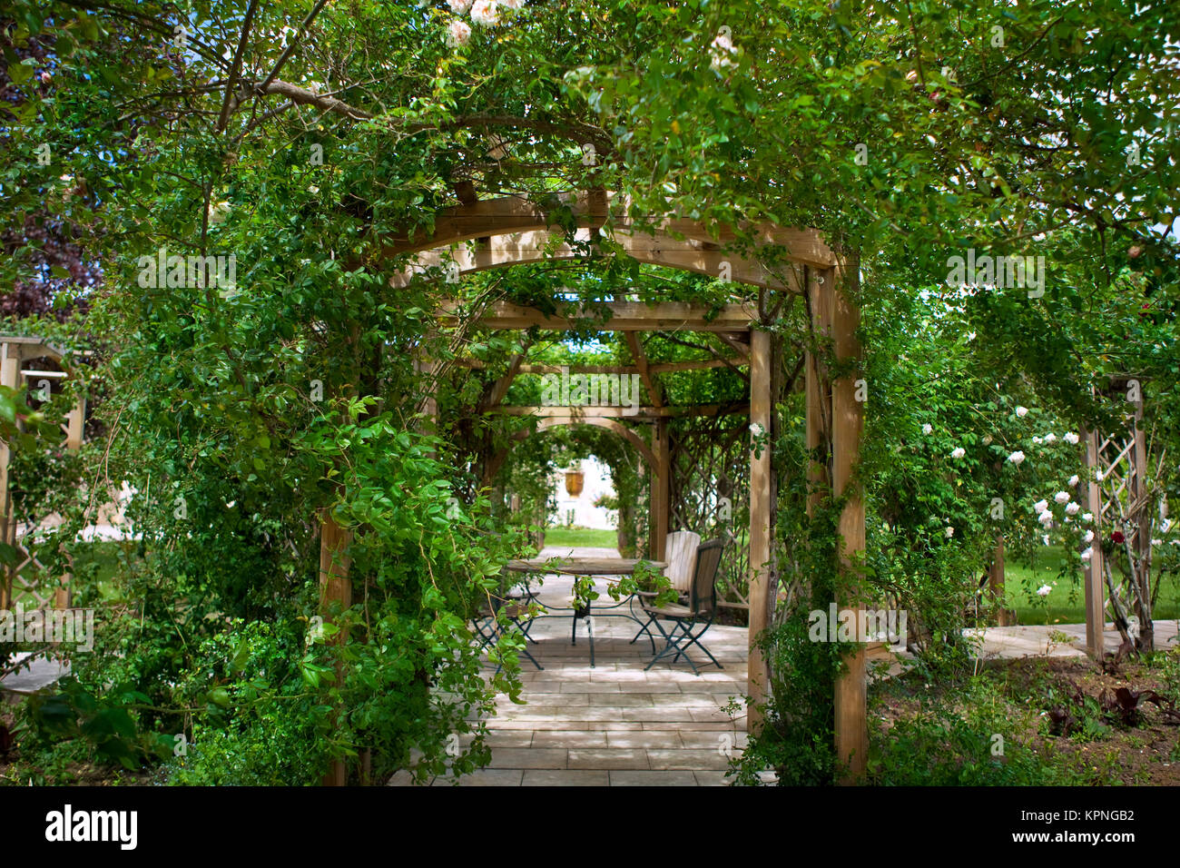 Patio and rose garden Stock Photo - Alamy